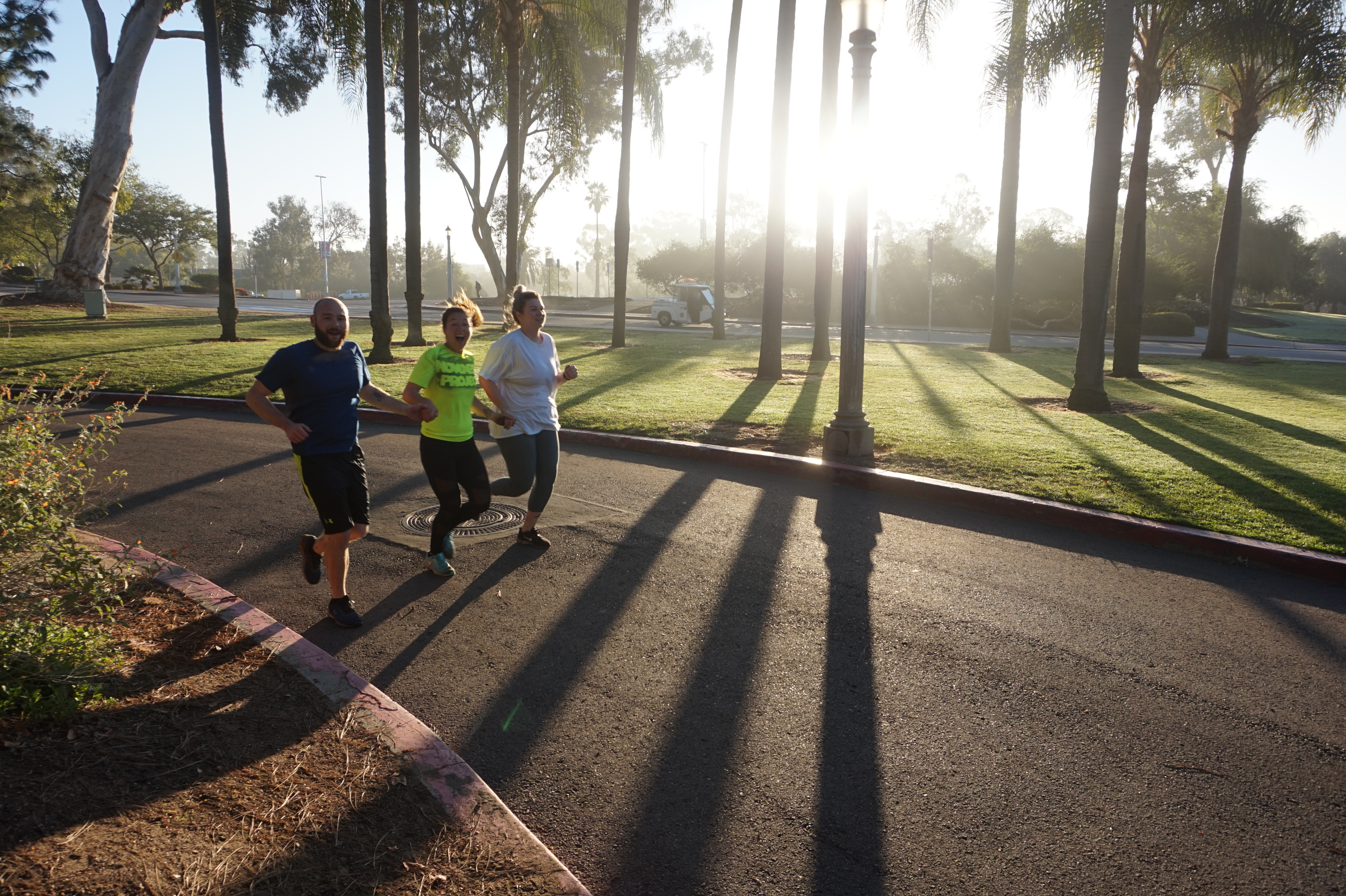 Black Olympic History - November Project