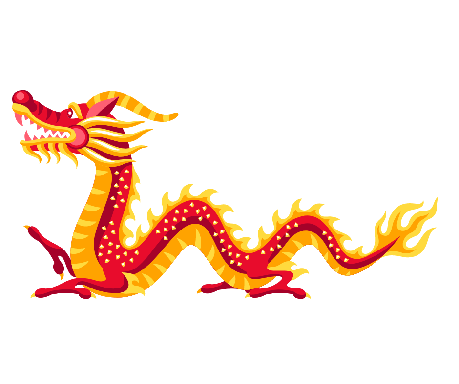 Ready for the year of the Dragon? - November Project